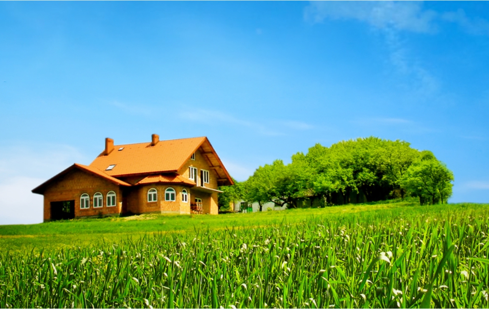 Koler Farm House Plot (SOLD-OUT) – Om Relators